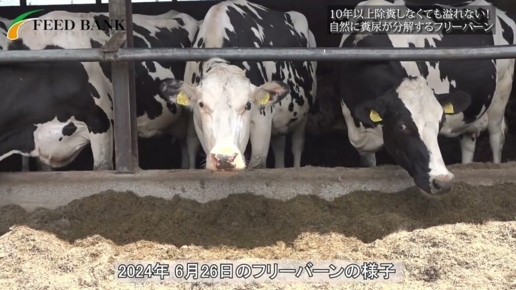 【20240626】道東にも間もなく夏が.. | 株式会社フィードバンク
